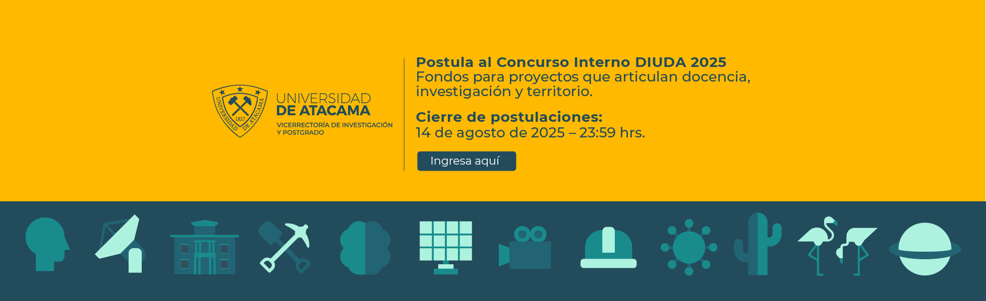 Universidad de Atacama